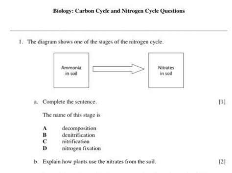 Gcse Questions Carbon Cycle And Nitrogen Cycle Teaching Resources