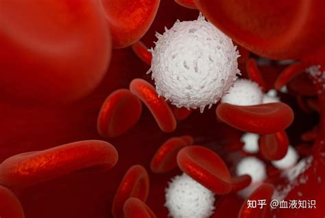 除了血小板减少，还有哪些是出血性疾病？ 知乎