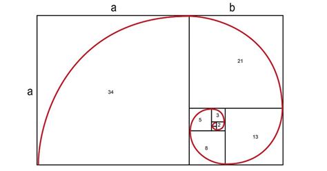 Последовательность Фибоначчи что это такое простыми словами