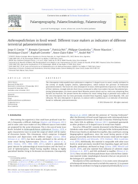 Pdf Asthenopodichnium In Fossil Wood Different Trace Makers As