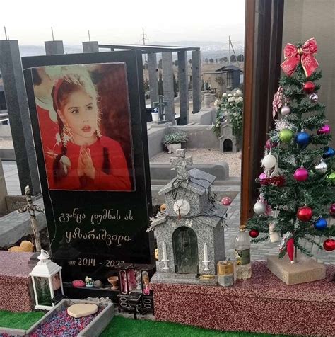 ეს დათხარი ერთ წლლის წინ ტრასაზე ეგდო გაძვალტყავებული🥺 წამოვიყვანე და ხედავთ როგორიც არის