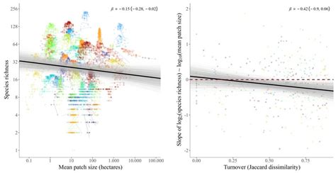 Test Of Predictions Based On Cross Scale Extrapolation Of Ecosystem