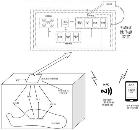 Multi Parameter Passive Flexible Sensing Device And Method For Aquatic