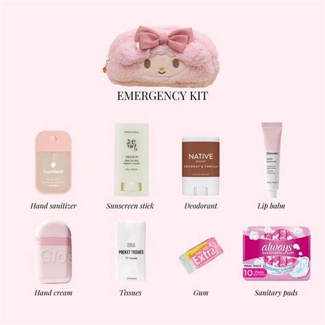 Emergency Kit Essentials Emergency Kit School Emergency Kit School