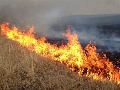 Хэнтий Дорнод Архангай аймагт гарсан ой хээрийн түймрийг бүрэн унтраажээ