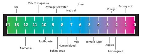 Which Of The Following Ph Values Represents The Strongest Acid