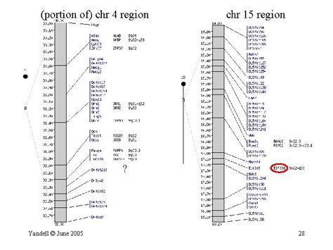 Bayesian Analysis Of Microarray Traits Arabidopsis Microarray Workshop
