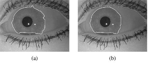 Figure 14 From Iris Segmentation Using Geodesic Active Contours Semantic Scholar