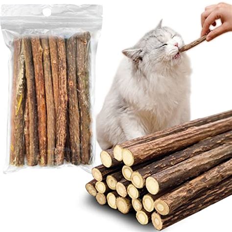 Silver Vine For Cats The 15 Best Products Compared Wild Explained