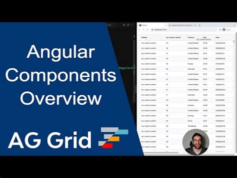 Angular Grid Custom Components Ag Grid