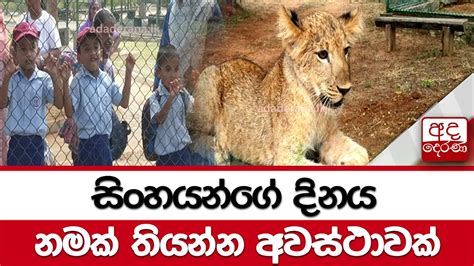 සිංහයන්ගේ දිනය නමක් තියන්න අවස්ථාවක් Youtube