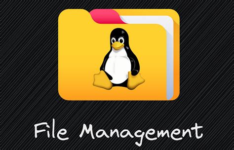 Managing Files In Linux The Purpose Of This Hands On Training By