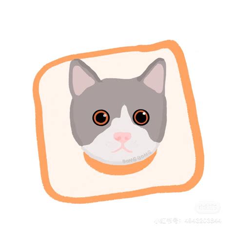 【月子餐33的做法步骤图，月子餐33怎么做好吃】细细最棒了下厨房