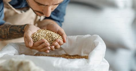 좋아하는 직업 양질의 재료 스타트업 및 수제 맥주 생산 앞치마를 두른 차분한 밀레니얼 세대의 잘생긴 남성은 하얀 곡물 자루가 있는 창고에서 보리를 확인하고 잘리고