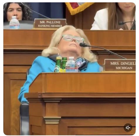 Wake Up Call Congresswoman Debbie Dingell Dozes During Hearing