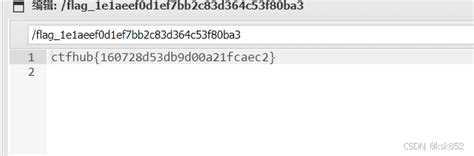 Ctf Hub Ssrf通关攻略hubctf Csdn博客 Ctf Hub Ssrf通关攻略hubctf Csdn博客