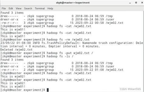 大数据开发技术实验04 HDFS文件创建与写入 阿里云开发者社区