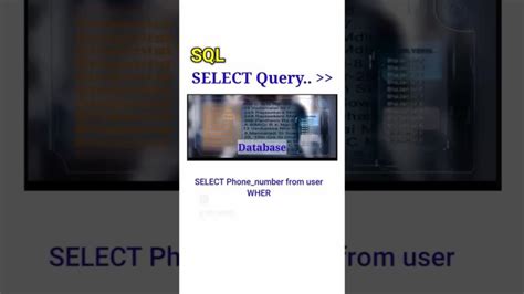 Mohammad Hafijul Islam On Linkedin Sql Query Sql Sqlquery Sqlserver Short Shorts