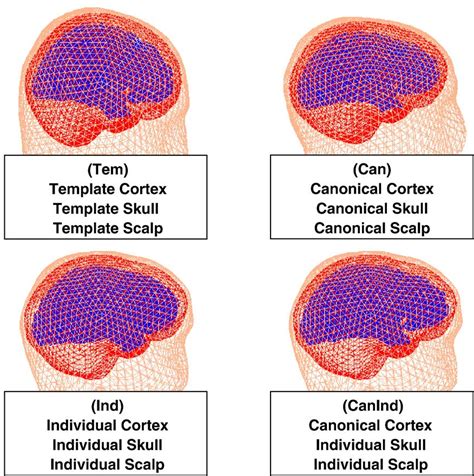 Figure 1 From Selecting Forward Models For Meg Source Reconstruction Using Model Evidence