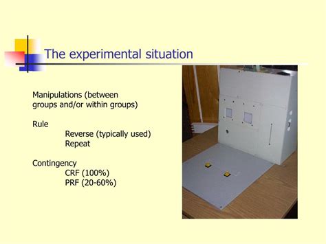 Ppt The Partial Reinforcement Extinction Effect Pree Powerpoint Presentation Id 2259738