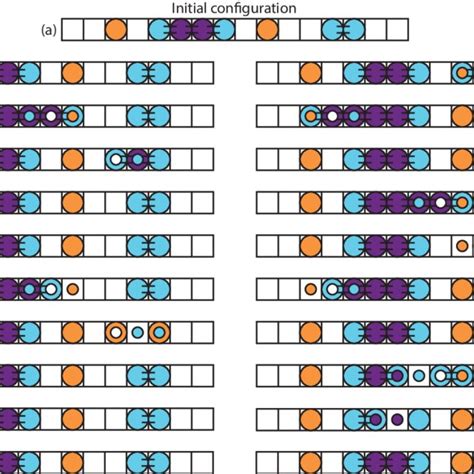 Schematic And Experimental Images Of A Scratch Assay A Schematic Of Download Scientific