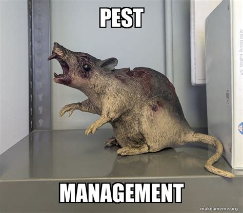 Pest Management Meme Generator