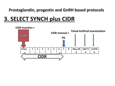 Synchronization And Superovulationpptx
