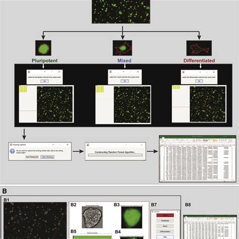 Colony Detection And Segmentation Pipeline The Raw Image Is Processed Download Scientific