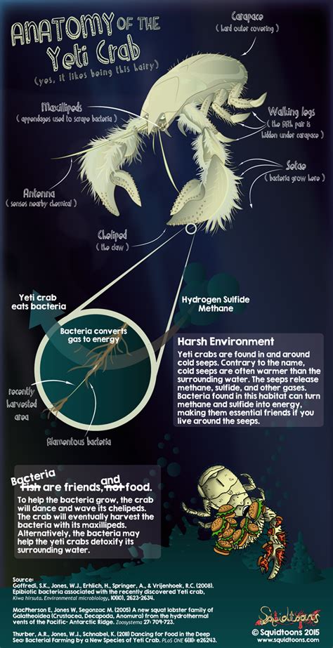 Yeti Crab Food At Ryan Shipp Blog