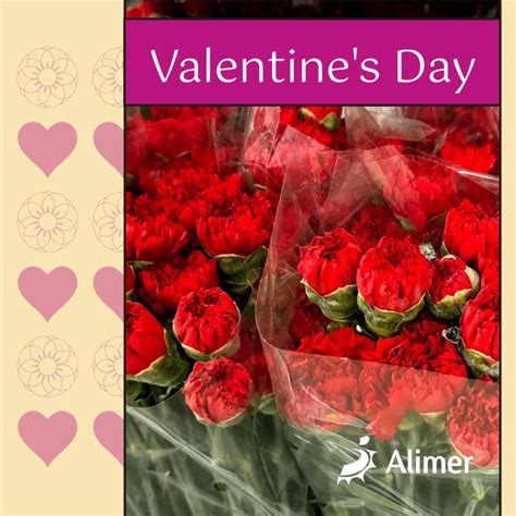 Alimer Valentin Alimer