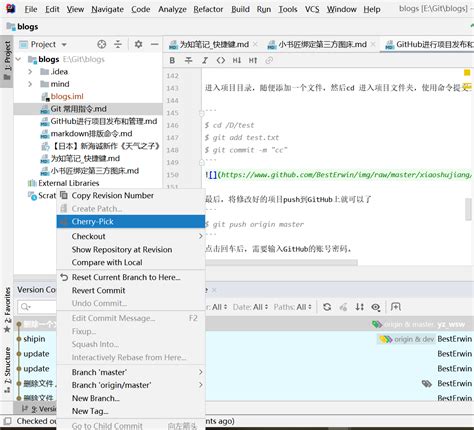 Idea Git Cherry Pick（摘樱桃） 实现分支的部分提交合并到master 源码巴士