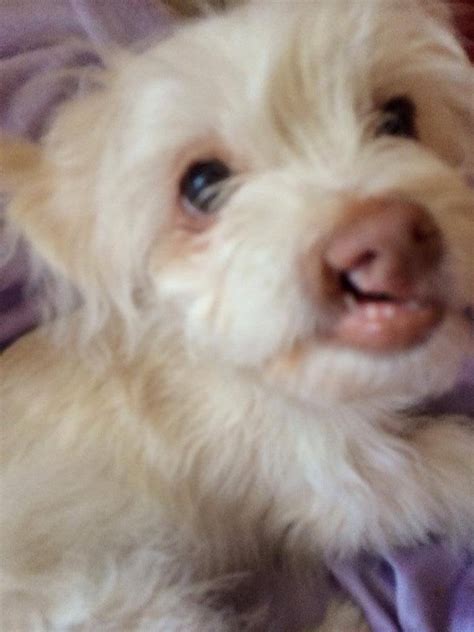 Josh And His Critters On My Way To Work With My Mom Love You Facebook