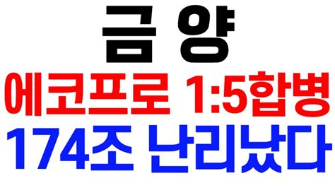 금양 에코프로 15합병 174조 난리났다 주주 필수 시청 영상 금양 금양전망 금양주가전망 금양주식전망 금양대응전략 박순혁 리튬 Youtube