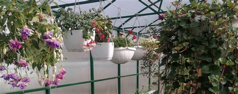 Домик в деревне ВКонтакте