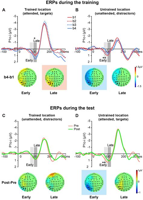 Frontiers Fast Perceptual Learning Induces Location Specific Facilitation And Suppression At
