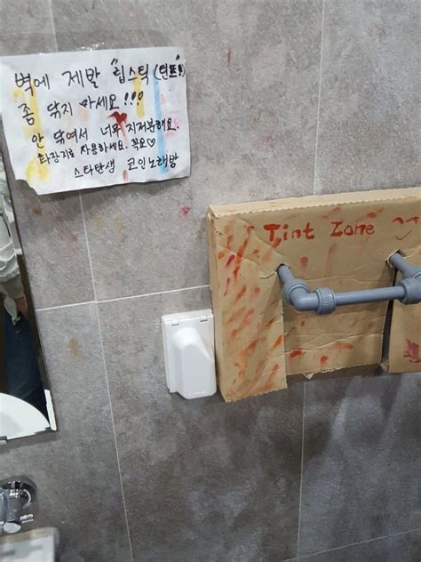 여자 화장실에 있는 문화  유머 움짤 이슈 에펨코리아