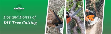 The Dos And Donts Of Diy Tree Cutting