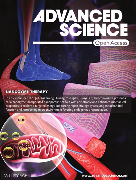 Pdf Energy‐supporting Enzyme‐mimic Nanoscaffold Facilitates Tendon