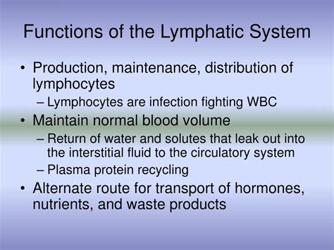 PPT Lymphatic System PowerPoint Presentation Free Download ID
