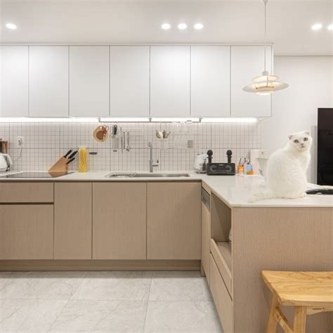 귀여운 냥이와 함께 사는 알콩달콩 신혼집 인테리어 라이프스타일 슈퍼앱 오늘의집