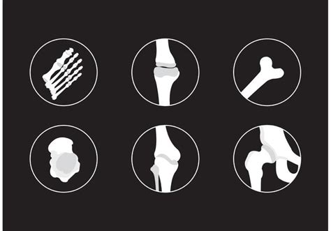 Bones And Joints Vector Icons 84612 Vector Art At Vecteezy