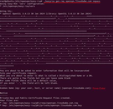 How To Set Up OpenVPN With Stunnel On Ubuntu Server LinuxBabe
