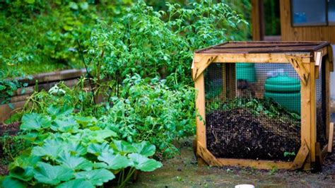The Dos And Donts Of Composting