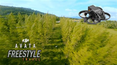 Dji Avata Freestyle Travel [rates Setting] M Mode Dji Action2 Color Grading [2 7k] Fpv