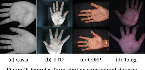 Figure 2 From Quality Of Pre Trained Deep Learning Models For Palmprint