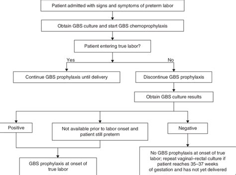 Algorithm For Screening Of Group B Streptococcal Colonization And Use Download Scientific