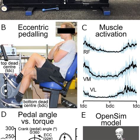 A Semi Recumbent Eccentric Cycle Ergometer B Leg Pose At The Top Download Scientific