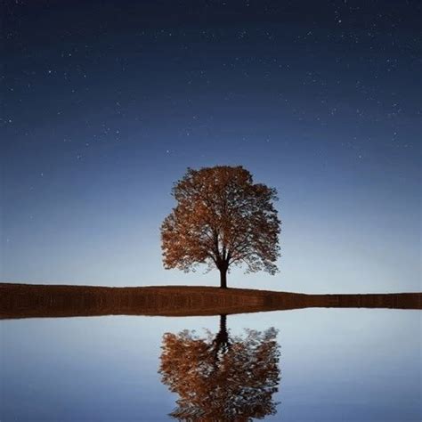 Aswin 6551 • Threads Say More