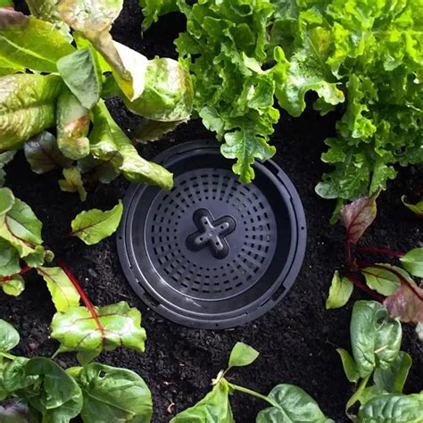 Compot In Situ Worm Composter Australian Landscape Supplies