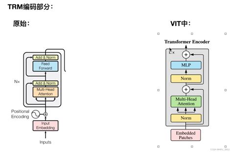 Bert中的位置编码与独立性：nsp、mlm训练详解 Csdn博客